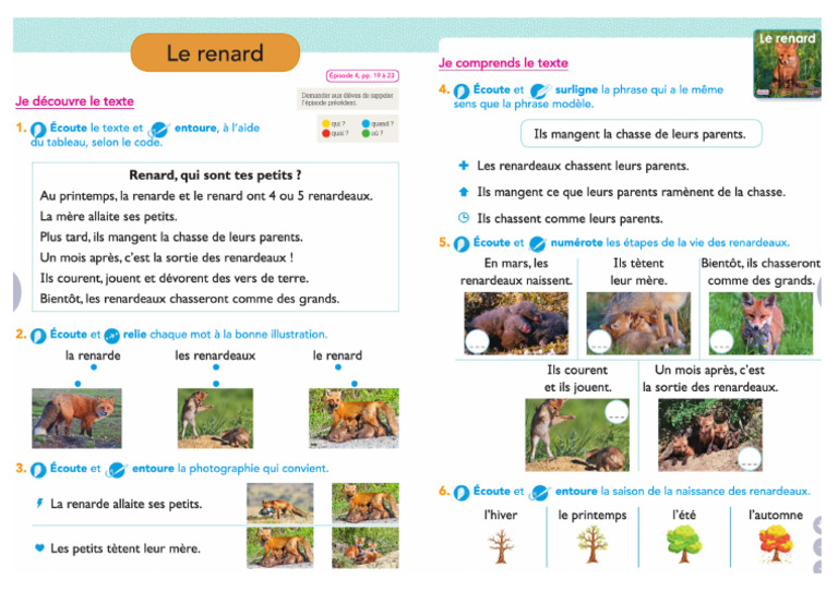 texte-docu-le-renard | PDF