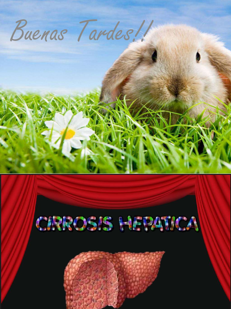 Coma Hepático | PDF | Cirrosis | Hepatitis