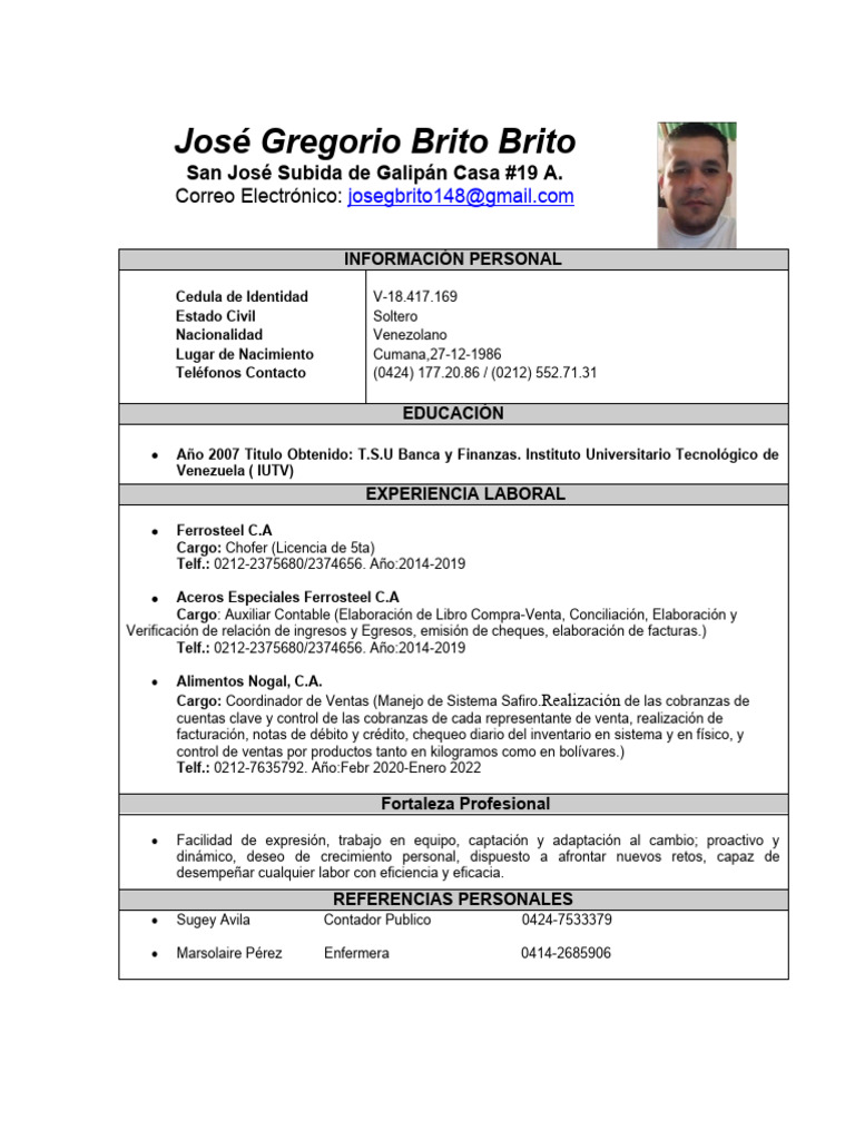 Jose Brito CV | PDF | Negocios