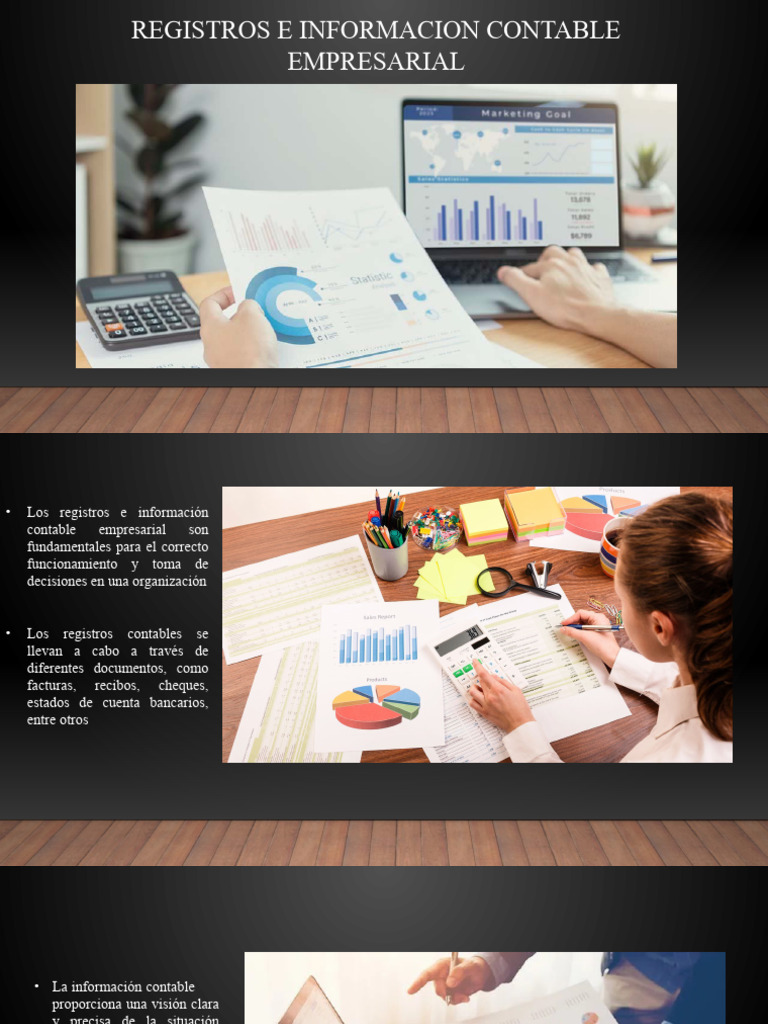 Registros e Informacion Contable Empresarial | PDF | Contabilidad | Business