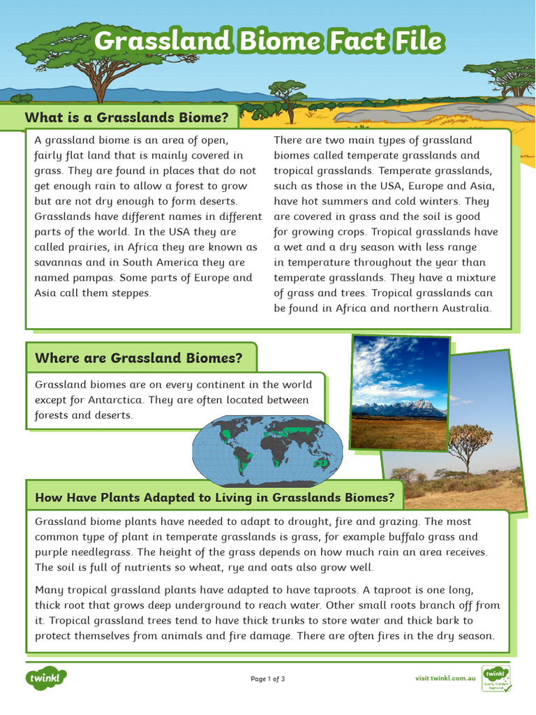 Grassland Biome Overview and Facts | PDF | Grassland | Trees