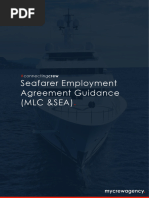 Guidance On DMLC Part II - Updated 13.07.2021 | PDF