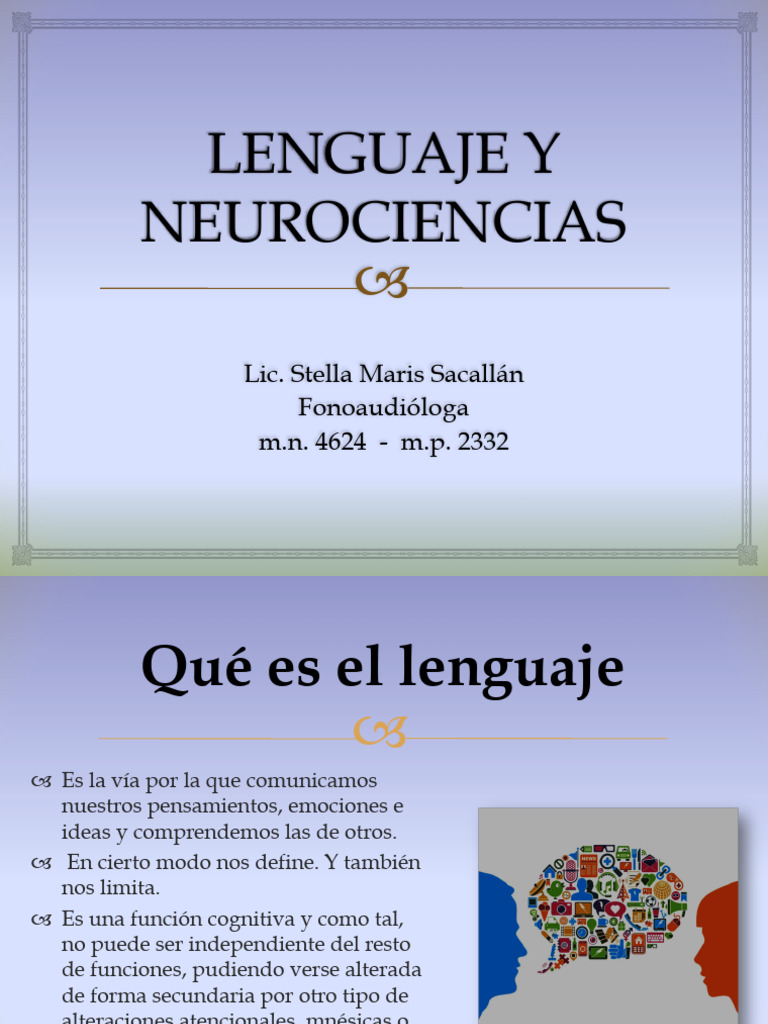 Lenguaje y Neurociencias | PDF | Afasia | Hemisferio cerebral
