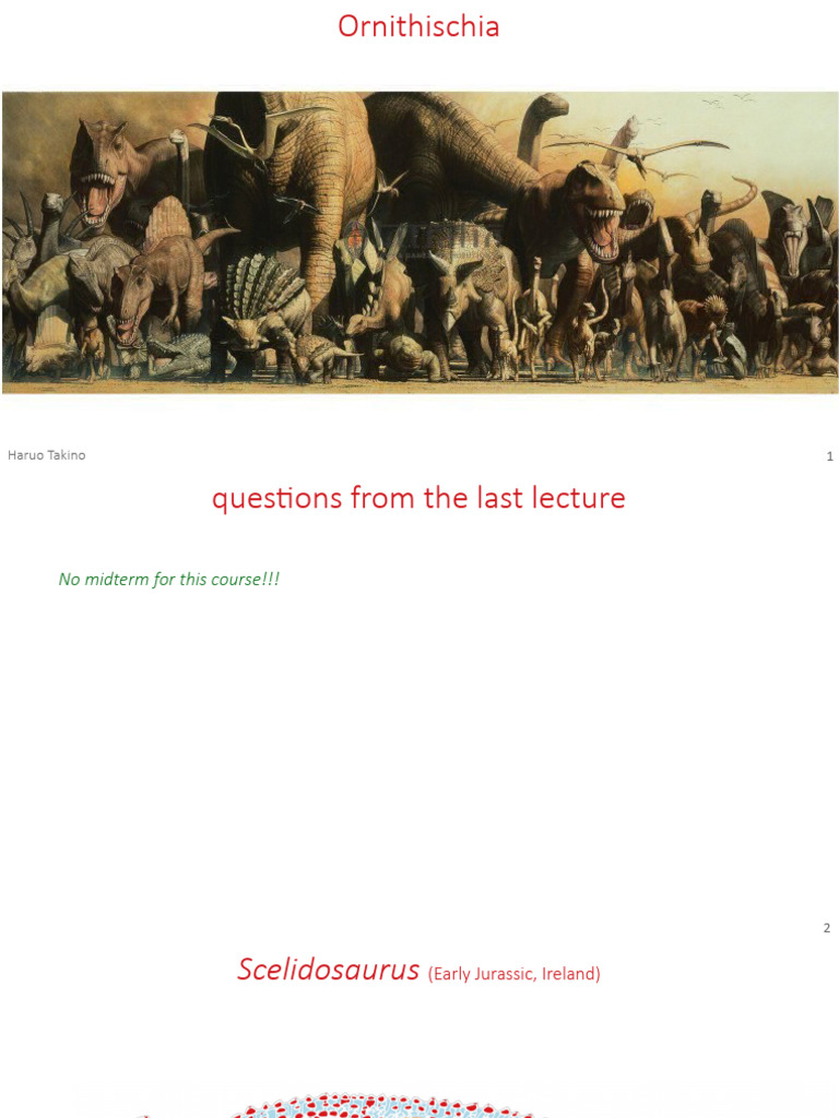 04 Basal Ornithischia & The Skeleton | PDF | Anatomy