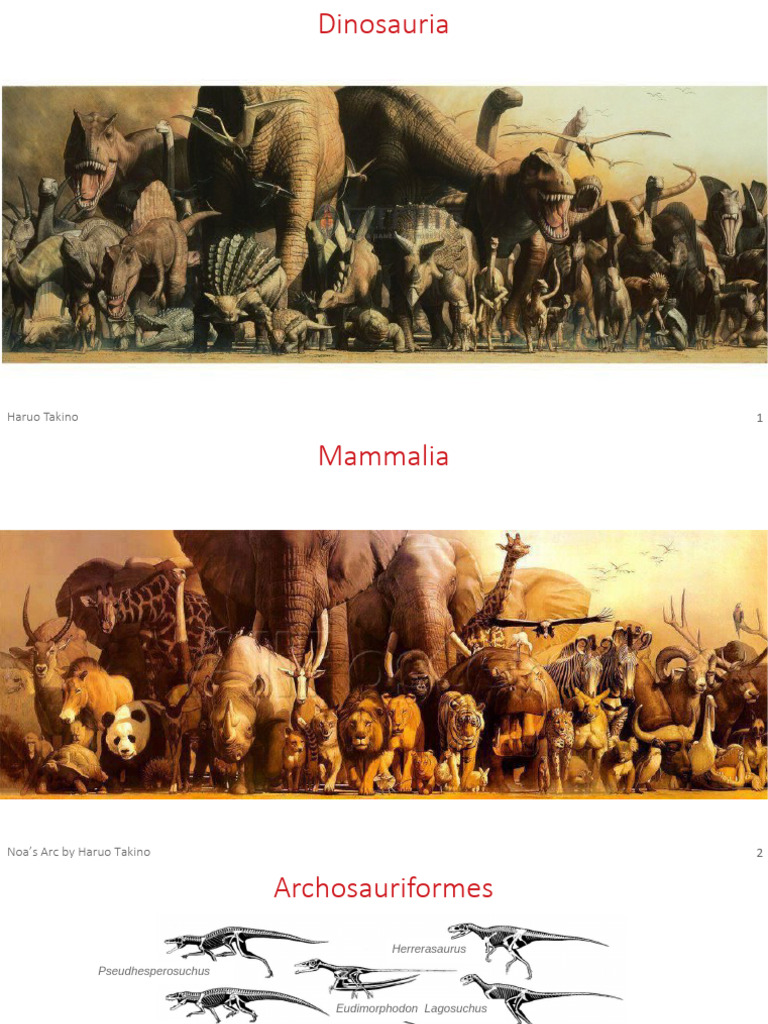 03 Dinosauria | PDF | Paleontology | Dinosauromorphs