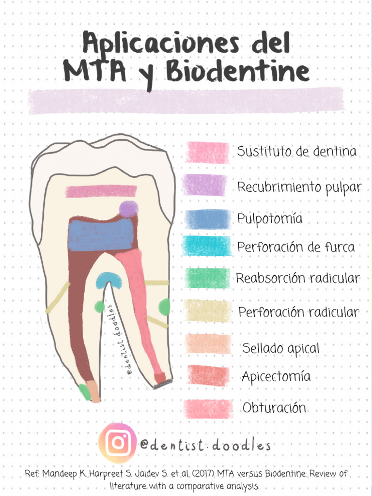 Udocz - Mta y Biodentine | PDF