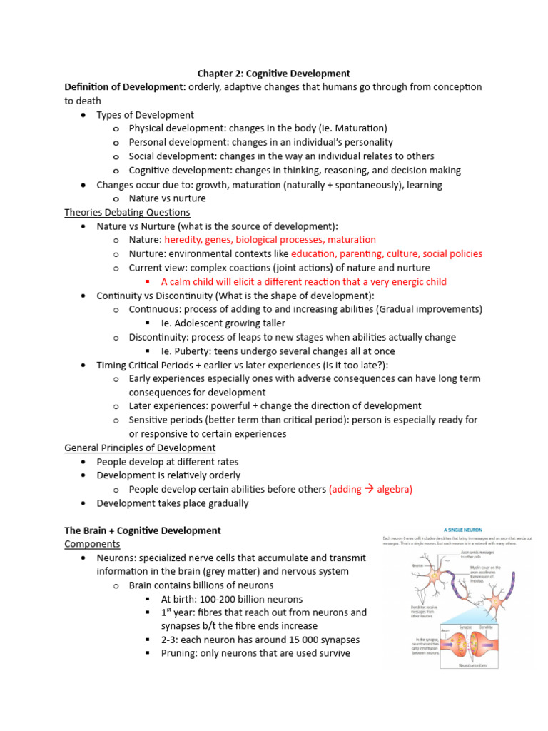 Chapter 2 - Cognitive Development | PDF | Neuron | Thought