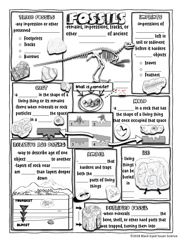 Fossils: Types and Formation Explained | PDF