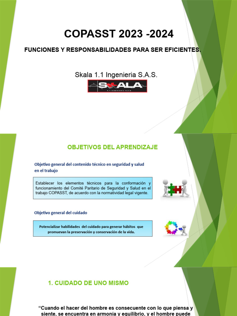Capacitacion Del Copasst | PDF | Business