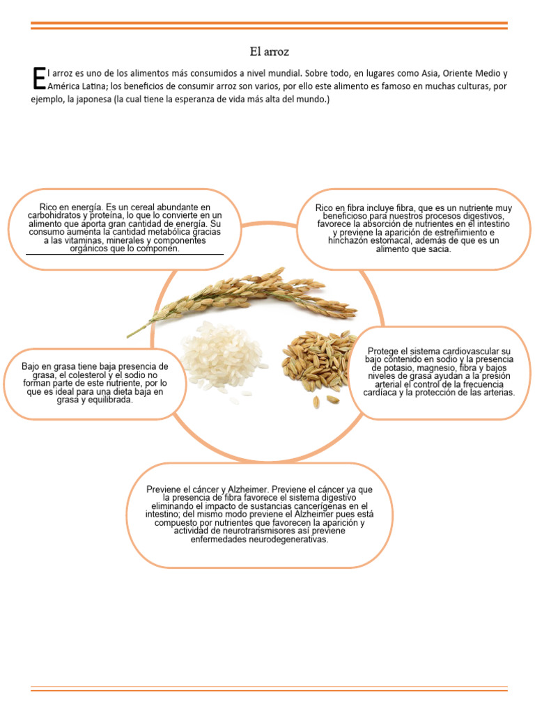 El Arroz | PDF | Nutrientes | Alimentos