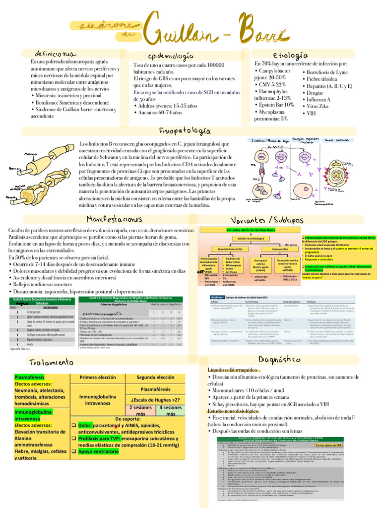 Guillian Barre | PDF | Epidemiología | Especialidades Medicas