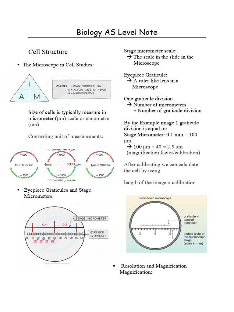 Biology AS Level Note | PDF | Cell (Biology) | Endoplasmic Reticulum