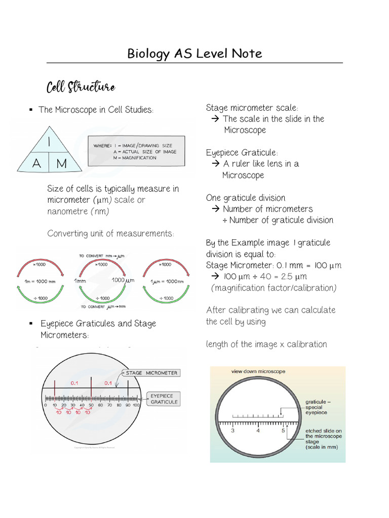 Biology AS Level Note PDF Version | PDF | Cell (Biology) | Endoplasmic ...