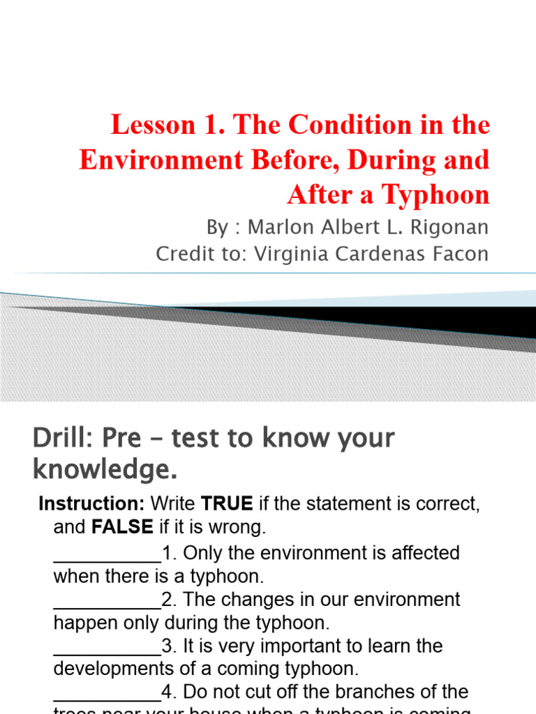 Before, During and After The Typhoon | Download Free PDF | Tropical ...