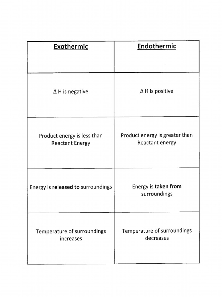 Exo Endo Puzzle KEY | PDF