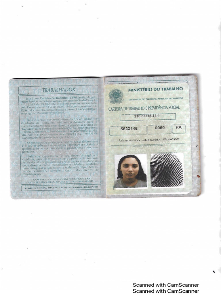 Carteira de Trabalho | PDF
