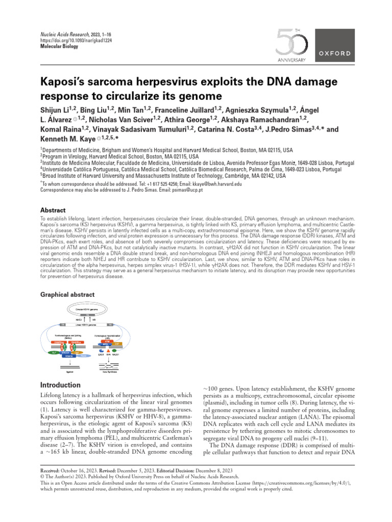 Gkad 1224 | PDF | Dna Repair | Biochemistry