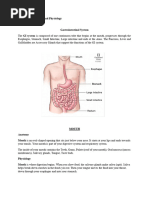The Journey of A Cheese Sandwich! | PDF | Digestion | Digestive System