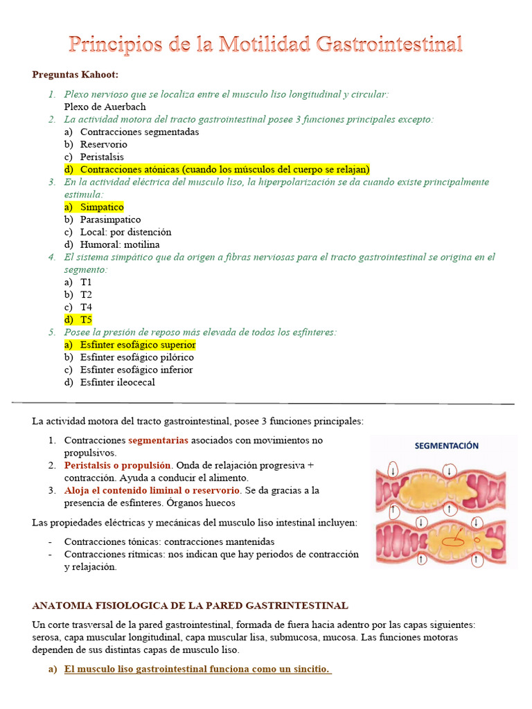 Principios de La Motilidad Gastrointestinal | PDF | Tracto ...