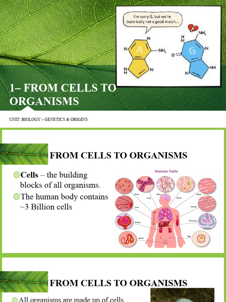 1 - From Cells To Organisms | PDF | Cell (Biology) | Cell Membrane