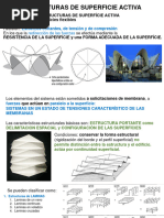 1 - Tipos de Estructuras Reticuladas | PDF | Braguero | Mecánica