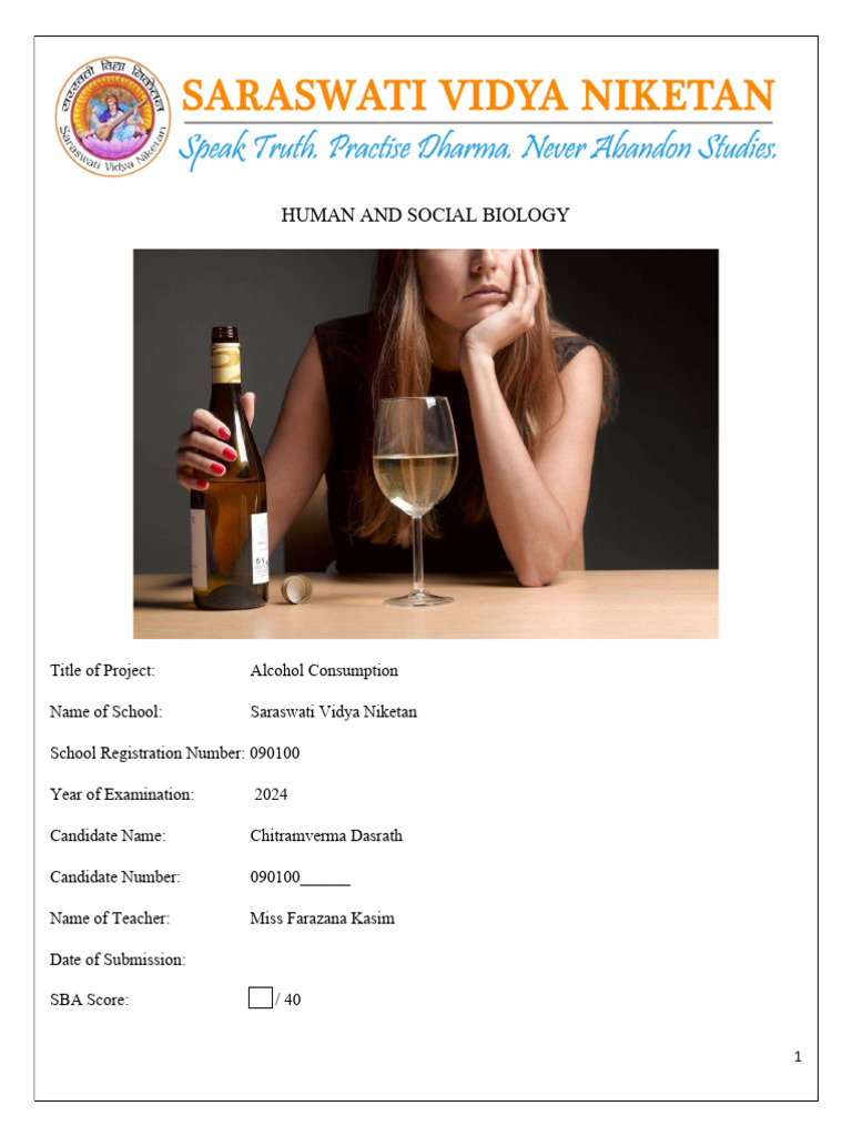 HSB SBA COMPLETE - Merged | PDF | Alcoholism | Alcoholic Beverages