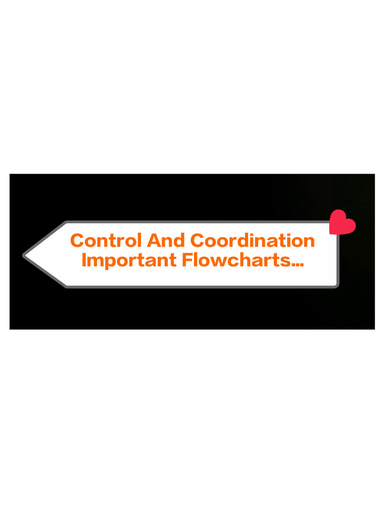 Control Coordination Imp. Flowcharts AGx | PDF