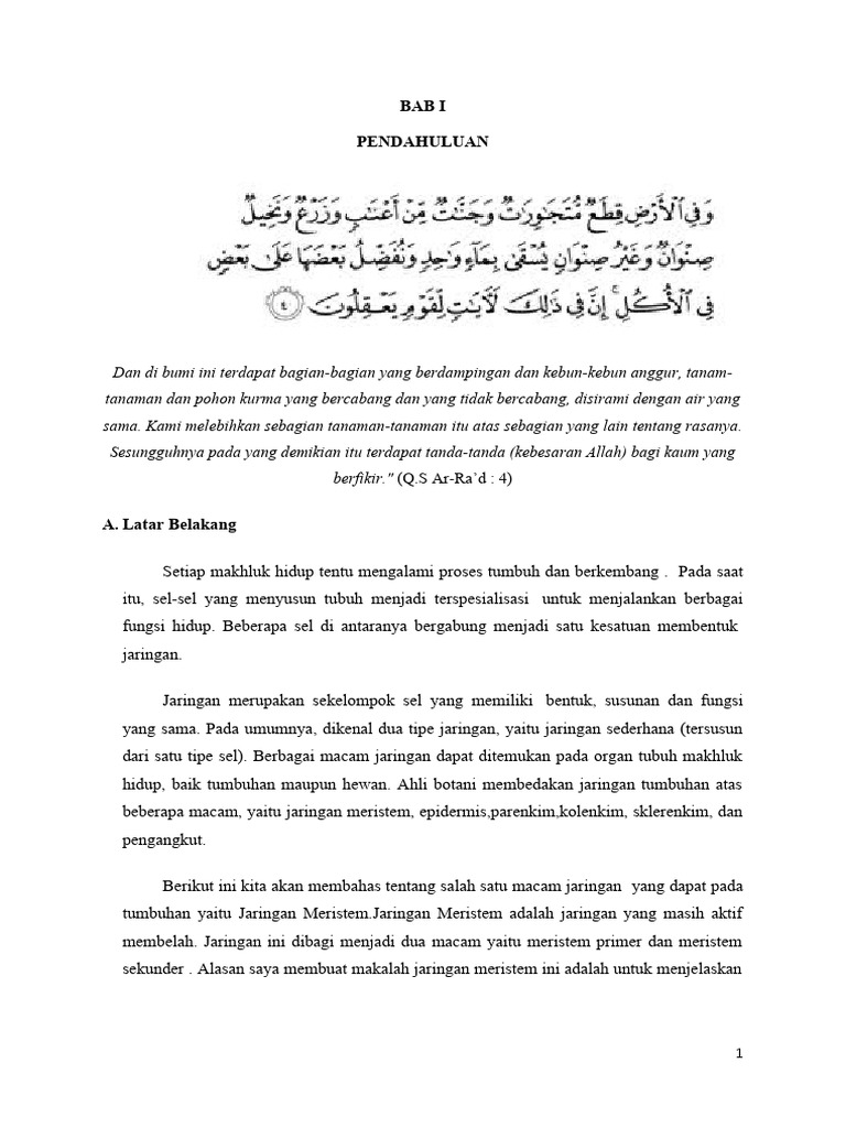 Anatomi Tumbuhan | PDF | Griya & Taman | Kesehatan Holistik