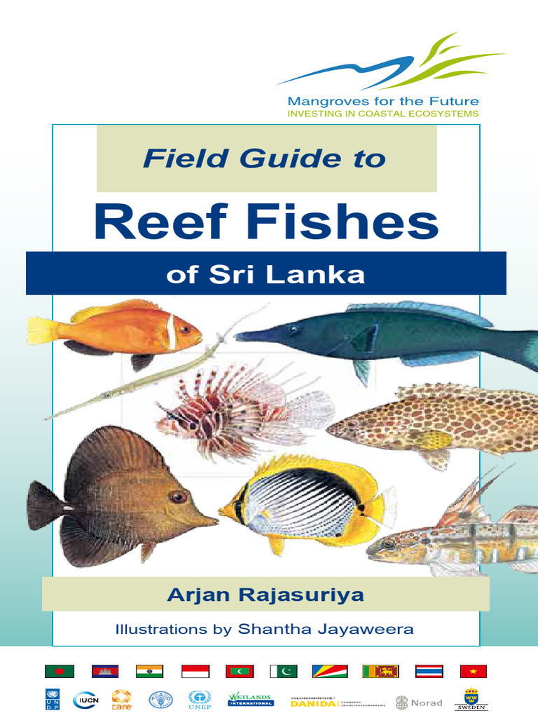Reef Fishes Book 1 | PDF | Coral Reef | Fish
