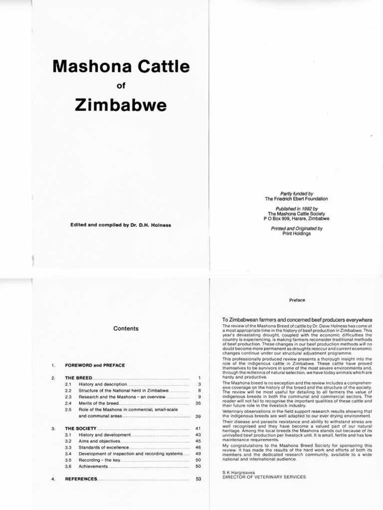 Mashona Booklet | PDF