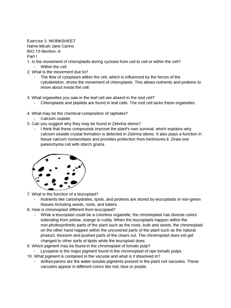 Lab - PDF 5 | PDF | Chloroplast | Cell (Biology)