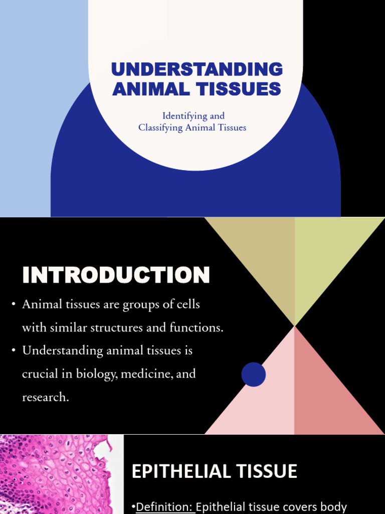 Understanding Animal Tissues | PDF | Axon | Tissue (Biology)