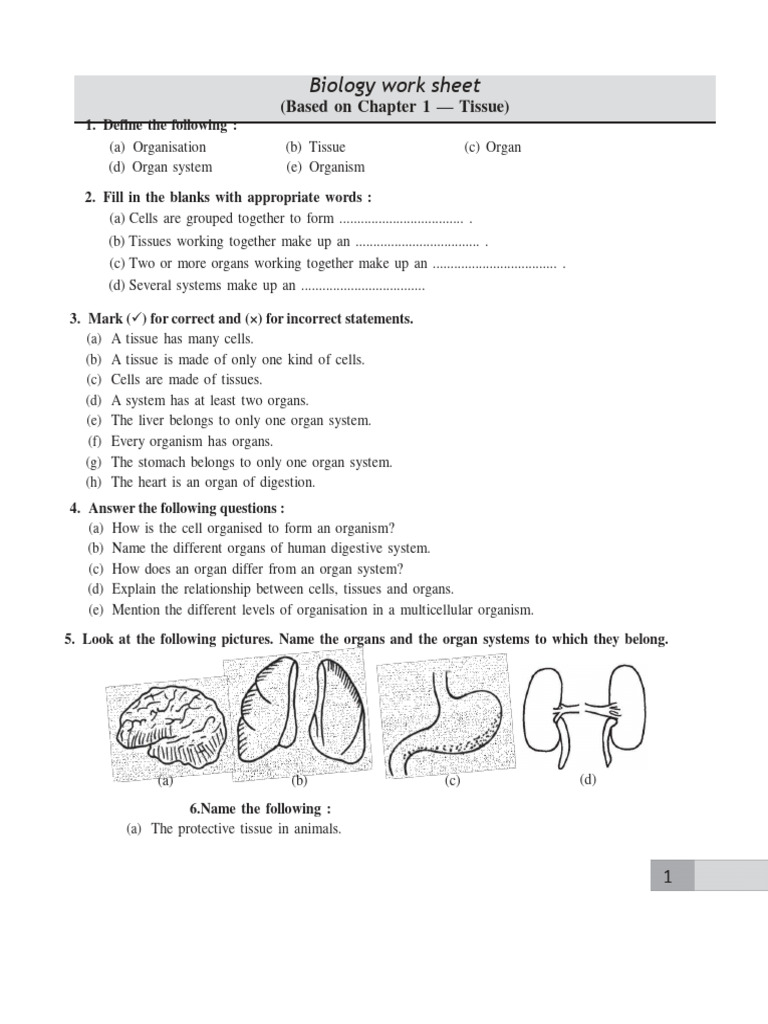Biology STD 7 Worksheet For First UT 2023 | PDF | Tissue (Biology ...