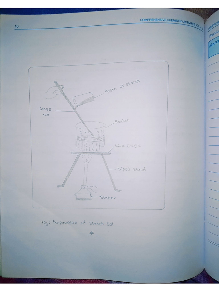 Starting Experiments Class 12 | PDF