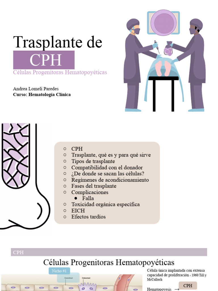 Hemato. Trasplante de CPH | PDF | Antígeno leucocitario humano | Anatomía