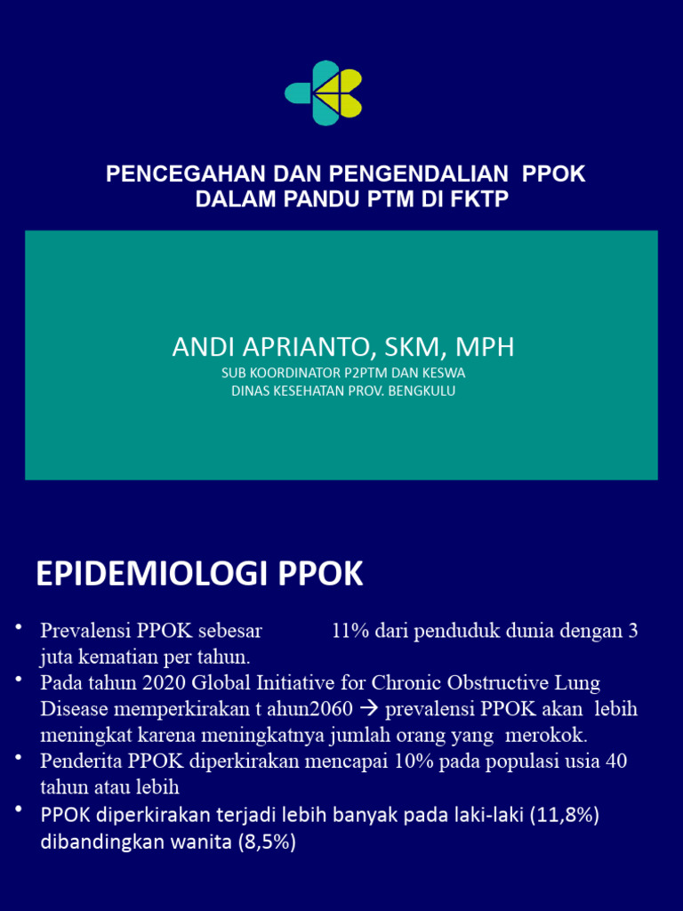 PPOK | PDF