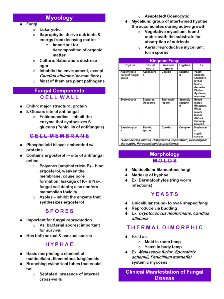 Microbiology - Mycology | PDF | Candidiasis | Fungus