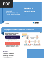 Estefania Fernandez - Lab Activity - Blood Type Pedigree Mystery | PDF ...