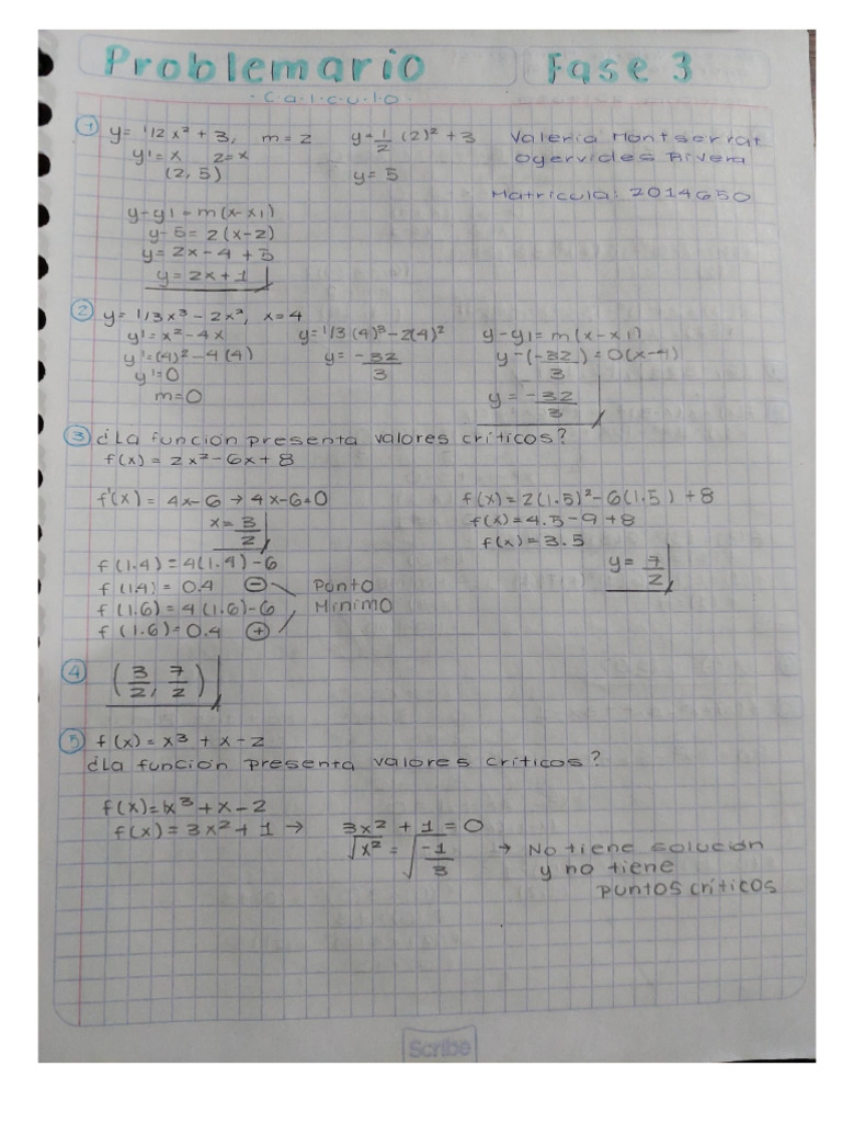 Valeria - Oyervides - Problemario 3 | PDF