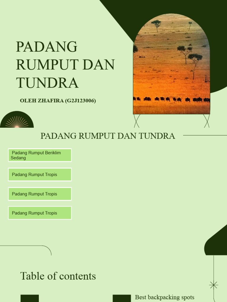Padang Rumput Dan Tundra | PDF | Mercury (Planet) | Planets