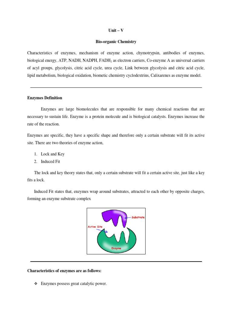 Bio-Organic Chemistry (Unit-V) | PDF | Electron Transport Chain | Enzyme