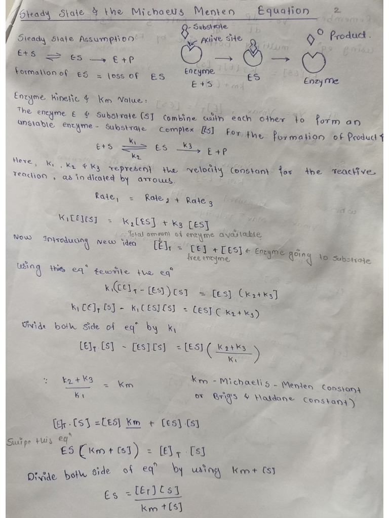 MM Kinetics Equation | PDF