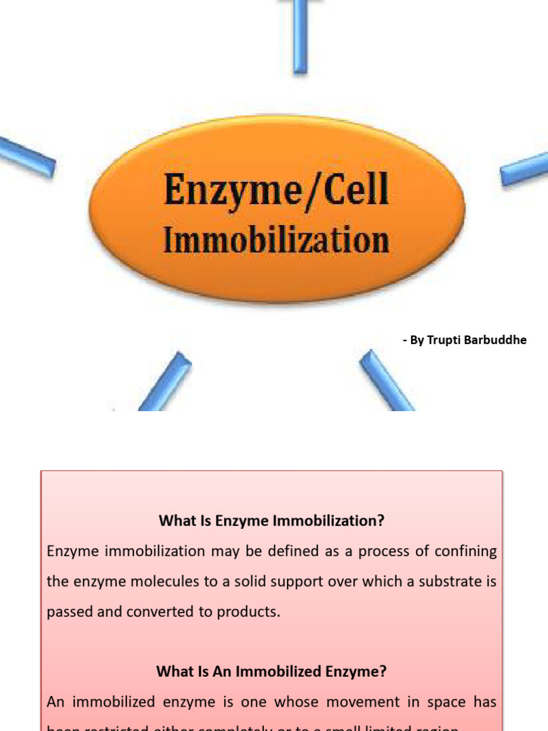 Enzyme Immobilization Techniques Explained | PDF | Chemical Reactor ...