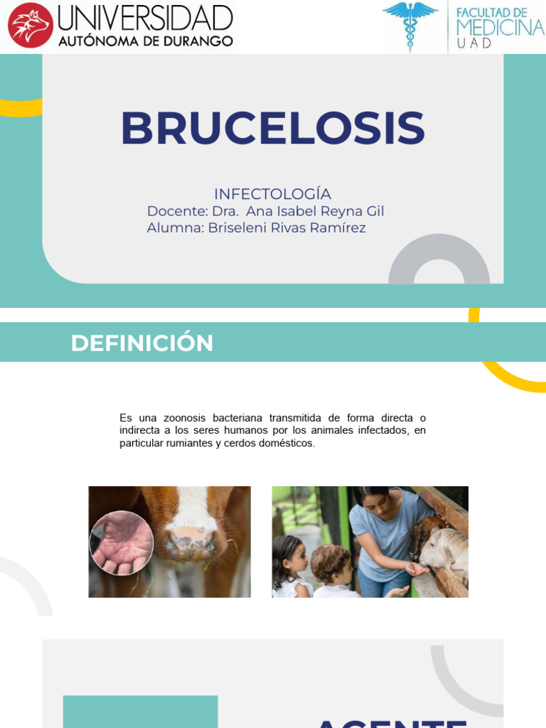 Brucelosis Pdf Inmunología Medicina Clinica