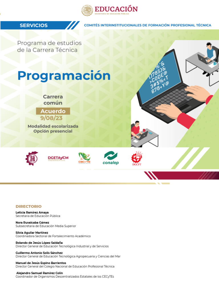 Programa de Estudios Programacion | PDF