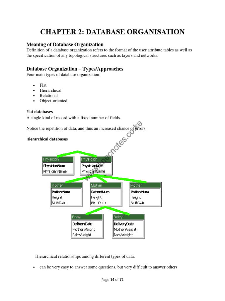 Types of Database Organization Explained | PDF | Computers | Technology ...