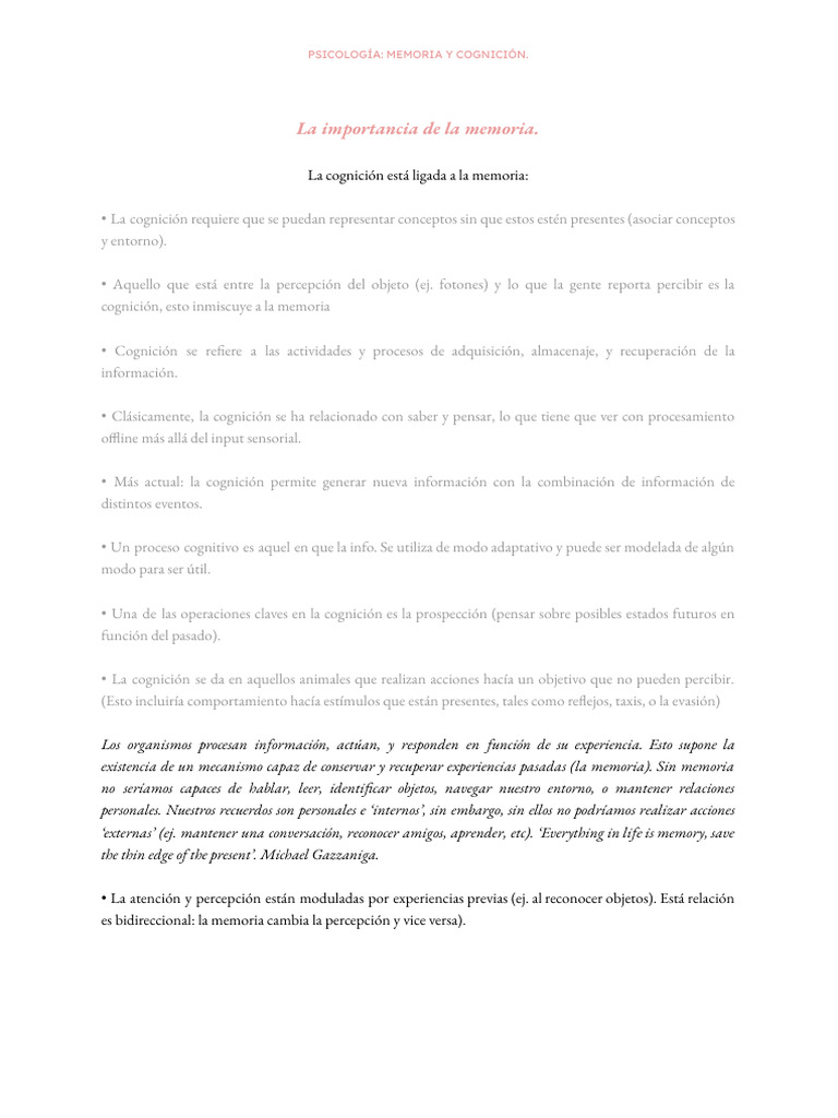 Apuntes Memoria Pdf Memoria Percepción