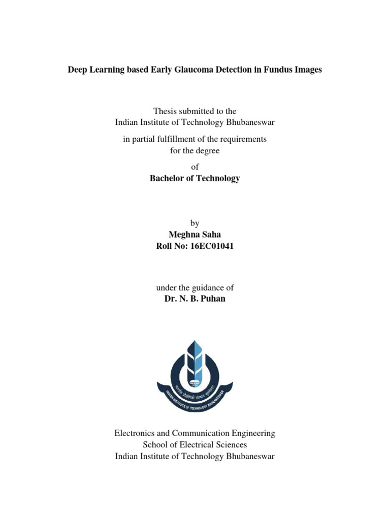 BTP Report Template IITS | PDF