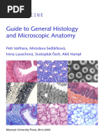 Human Histology Atlas Overview | PDF | Stomach | Gastrointestinal Tract