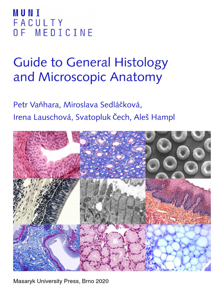 General Histology Guide for Students | PDF | Cardiac Muscle | Neuron